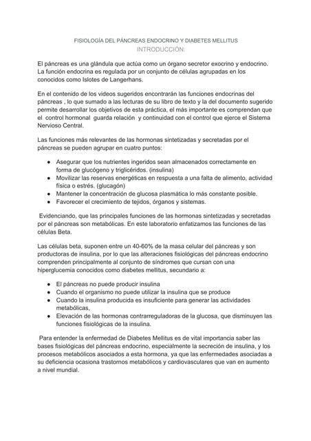 FISIOLOGÍA DEL PÁNCREAS ENDOCRINO medi fer uDocz
