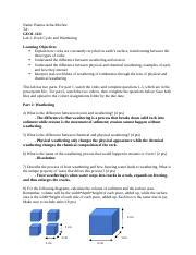 Lab 3 Rock Cycle Questions Docx Name Bianca Acha Morfaw TA GEOL