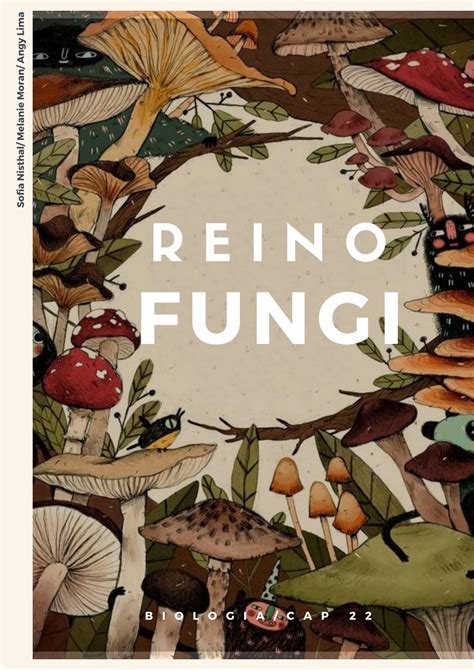 Reino Fungi by Sofía Nisthal Pérez Issuu
