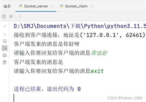 网络编程：socket客户端开发 csdn博客