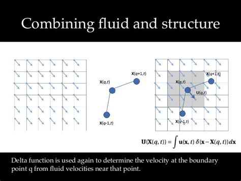 the immersed boundary method from 2d fibres to 3d finite elements