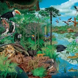 Ecosistema Biología Trivias Juego educativo Biología Mobbyt