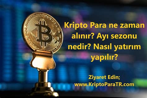 Kripto Para ne zaman alınır Ayı sezonu nedir Nasıl yatırım yapılır