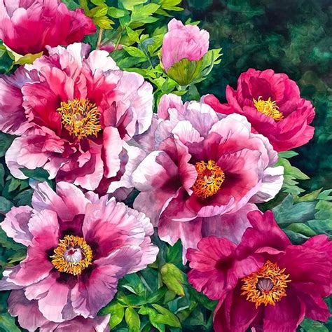 Watercolor Janet Pulcho Watercolor Flower Art Flower Painting