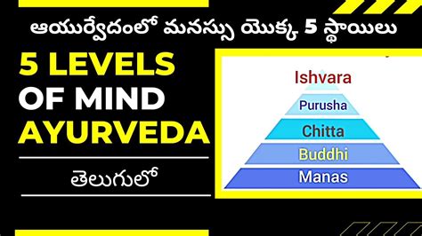 Levels Of Mind In Ayurveda In Telugu Difference Between Mind And