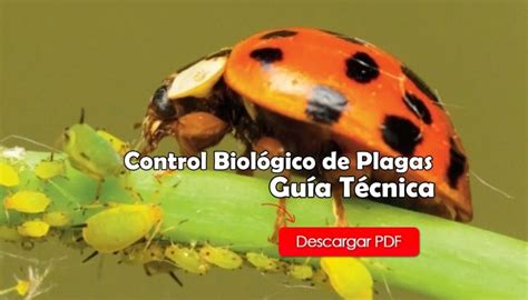 plagas Guía de Control Biológico Agroproyectos