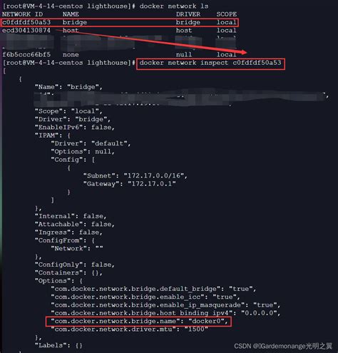 docker学习笔记 csdn博客