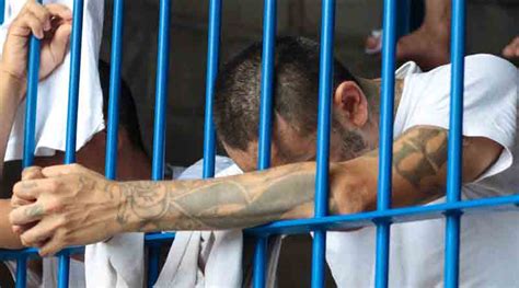 56 190 pandilleros han sido capturados durante régimen de excepción en