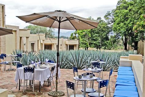 Matices Hotel De Barricas Hoteles En Tequila Jalisco