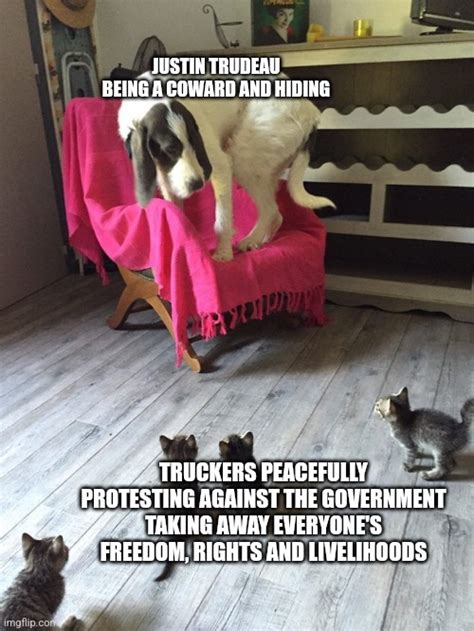 Justin Trudeau Hides From The Freedom Truckers Like A Coward Imgflip