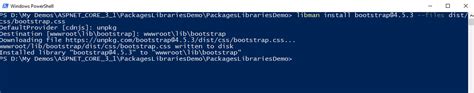 Working With Packages And Libraries In Asp Net Core