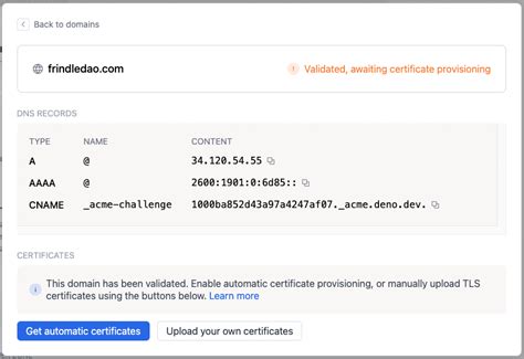 Custom Domains