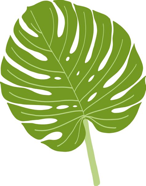Simplicity Monstera Leaf Freehand Drawing 22130249 PNG