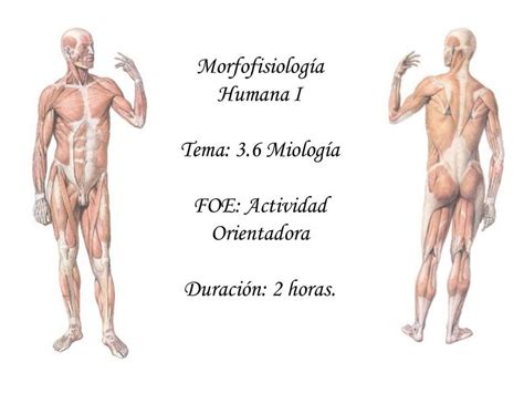 Morfofisiología Enfermería uDocz