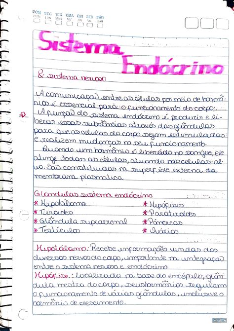 SOLUTION Sistema Nervoso E Sistema End Crino Studypool