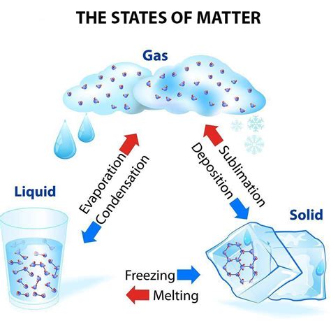 States Of Matter Phase Diagrams The Diagrams Below Represent