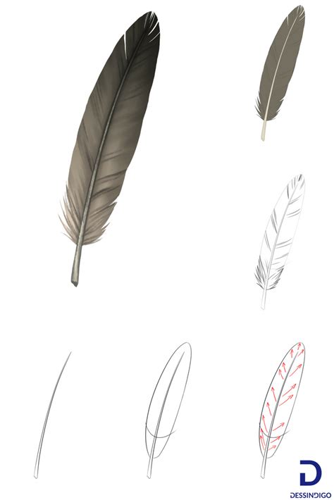 Dessin D Une Plume Enligne