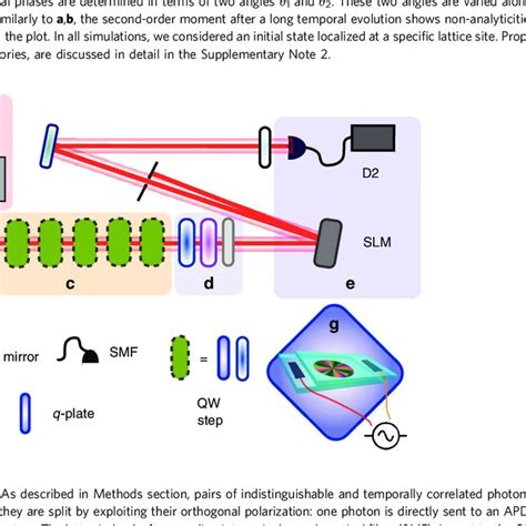 pdf statistical moments of quantum walk dynamics reveal topological quantum transitions