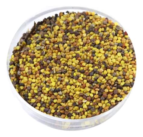 Sementes Trevo Branco 1 Kg Parcelamento Sem Juros