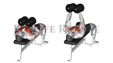 Dumbbell Squeeze Press How To Do Muscle Worked Benefits