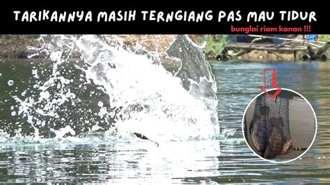Tarikannya Mengerikan Mancing Nila Liar Di Waduk Riam Kanan Desa