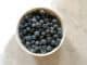 Bleuets Recette De Confiture Et Conseils Urbaine City