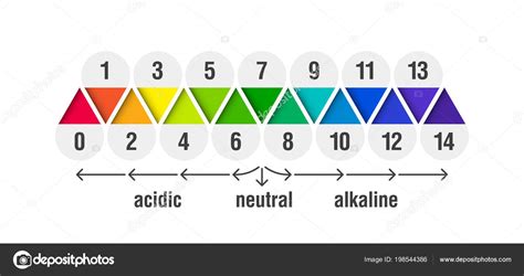 Ph Acid And Base Chart A Visual Reference Of Charts Chart Master