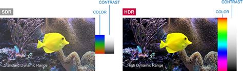 What Is HDR For Monitors And Is It Worth It Ultimate Guide