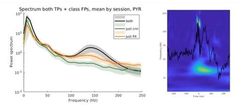 deep learning based feature extraction for prediction and interpretation of sharp wave ripples