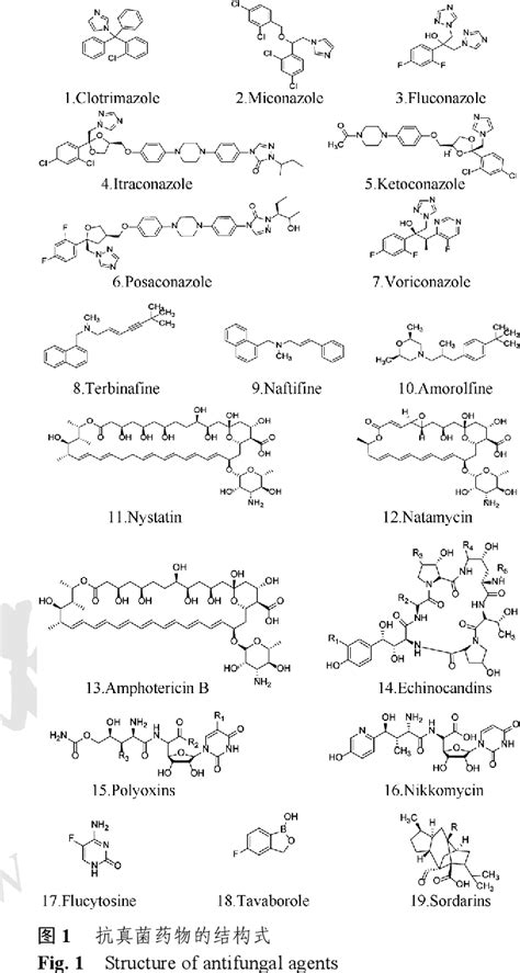 Systematic Classification Of Antifungal Drugs Resistance Mechanisms