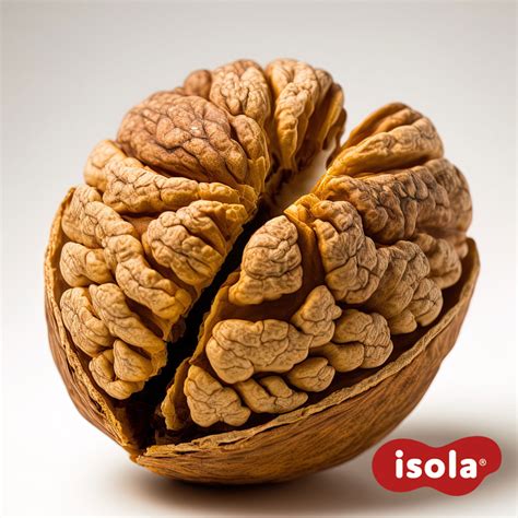 Tu cerebro en forma con una buena alimentación isola Frutos Secos