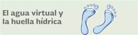El Agua Virtual Y La Huella Hidrica Agua Org Mx
