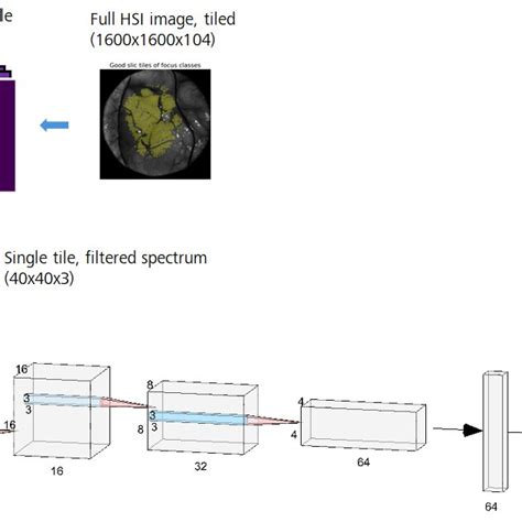 deep learning classification models quantitative evaluation on the download scientific diagram