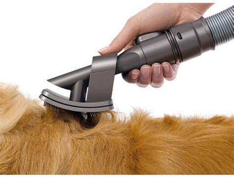 Dyson Groom Brosse Pour Chiens Au Meilleur Prix Sur Idealo Fr