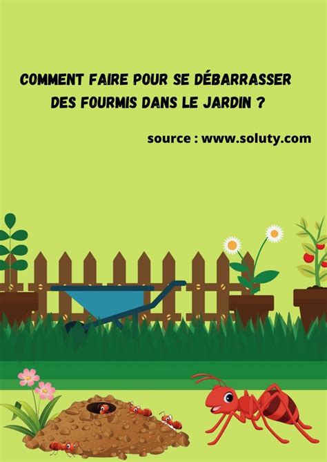 Comment faire pour se débarrasser des fourmis dans le jardin SOLUTY