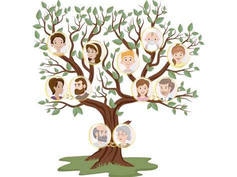 Details 48 cuántos tipos de árboles genealógicos hay Abzlocal mx