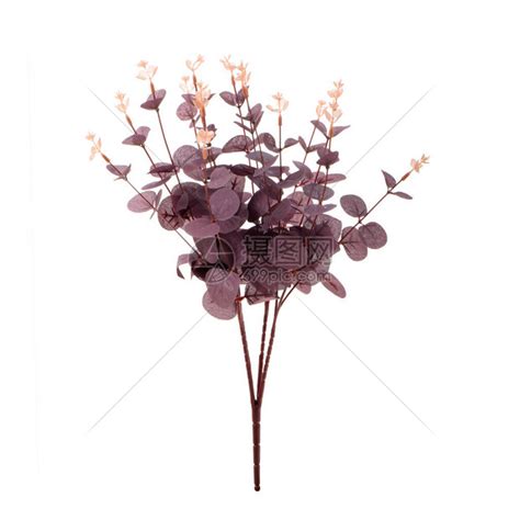 白色背景上孤立的人造花高清图片下载 正版图片504055849 摄图网