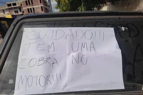 Mulher Deixa Recado Ao Ver Cobra Entrando Em Motor De Carro Cuidado