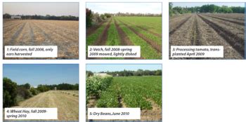 Tipsheet Crop Rotation In Organic Farming Systems ATTRA