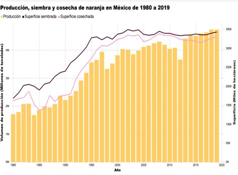 Cu Nto Cuesta El Kilo De Naranjas Cu Nto Cuesta