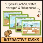 Biogeochemical Cycles Google Slides Emmatheteachie