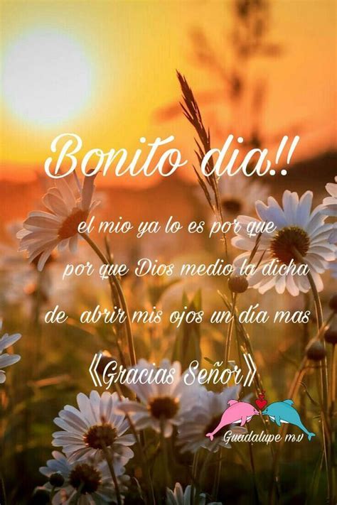 Imagenes Bellas Pensamientos Reflexiones Buenos Dias Cortos Positivo