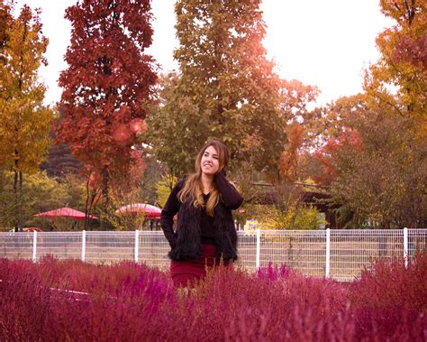 Nari Park Autumn Copy Gina Bear S Blog