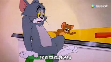 猫和老鼠杰瑞与了整蛊汤姆用颜料在它脸上花满麻疹 动漫 高清完整版视频在线观看 腾讯视频