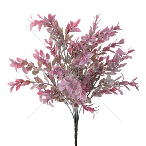 在白色背景上隔离的彩色人造花高清图片下载 正版图片504055853 摄图网