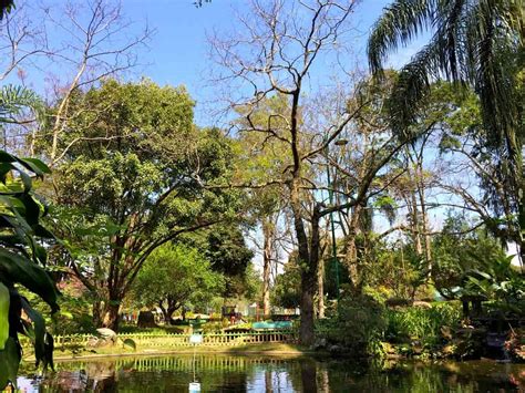 Parque Santos Dumont em São José dos Campos Áreas Verdes das Cidades