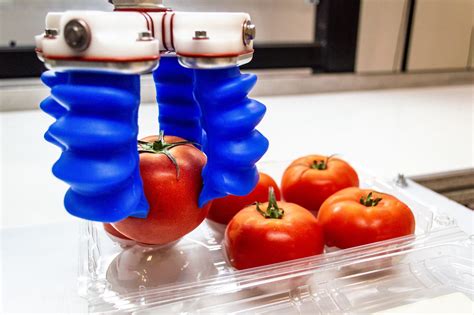 Soft Robotics Grippers Wisematic