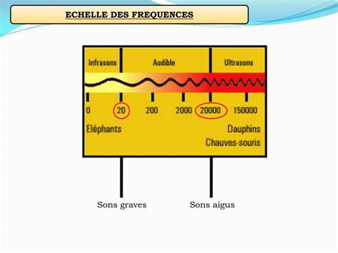 Ppt Un Risque Sp Cifique Le Bruit Powerpoint Presentation Free