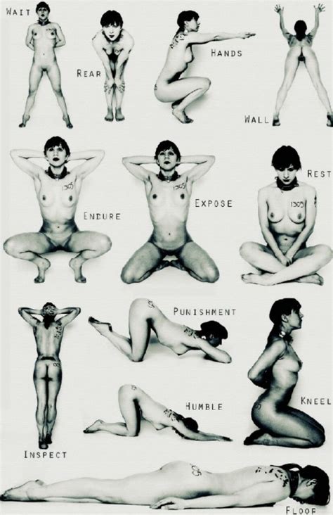 Gorean Positions Illustration Tumbex