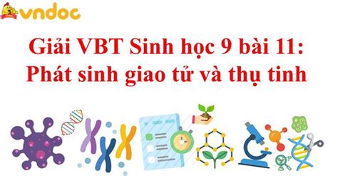 Giải VBT Sinh học 9 bài 11 Phát sinh giao tử và thụ tinh Tailieuviet vn